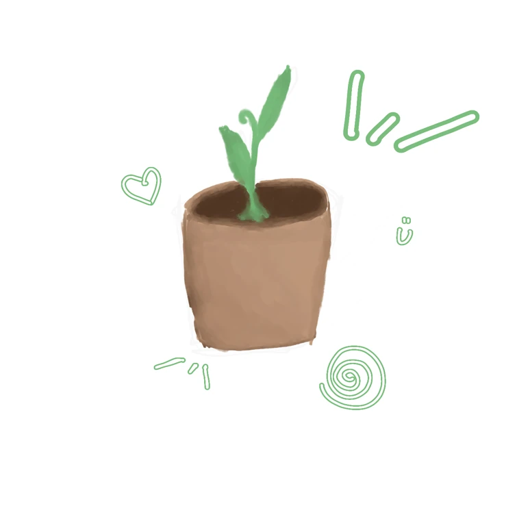 Plant in pot | Fandom