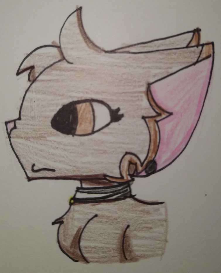 An Analysis On Ears | Fandom
