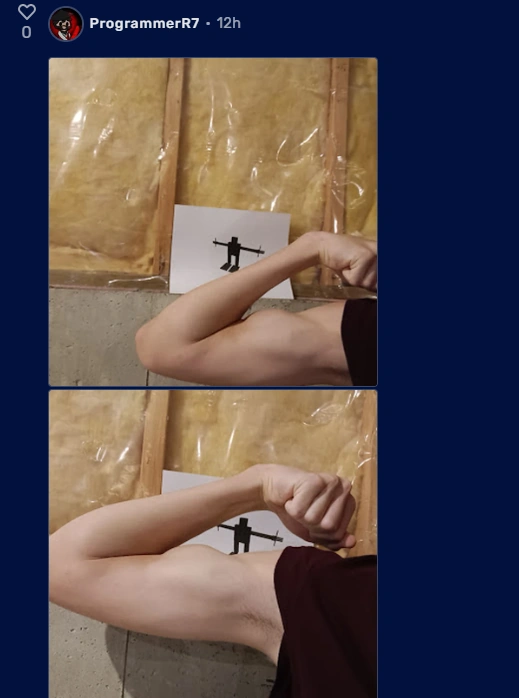 Alert: Programmer is a living paradox, he's a wikian that's FUCKING SWOLE | Fandom