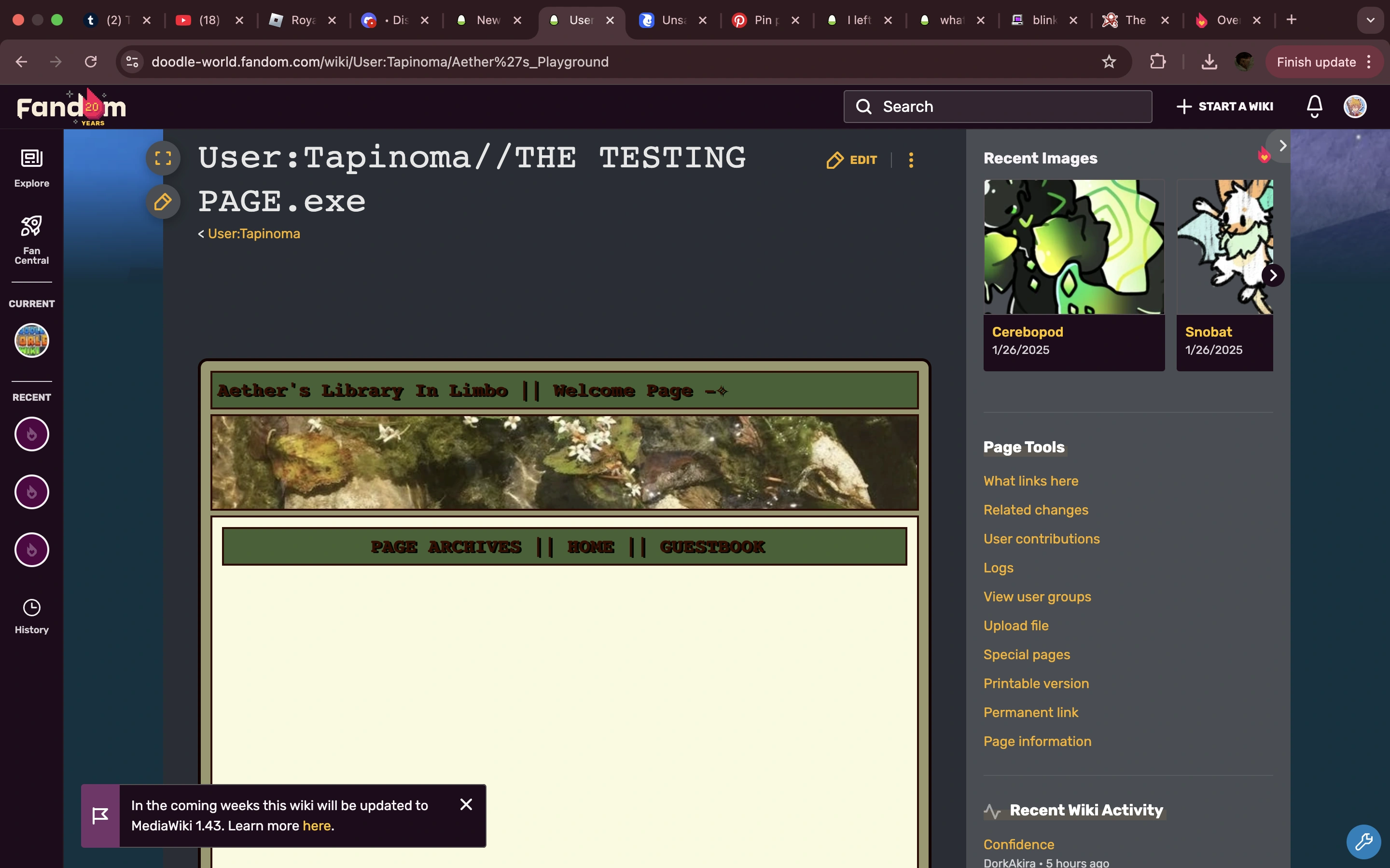 i love coding i love making profiles | Fandom