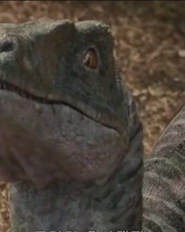 Discuss Everything About Jurassic Park Wiki | Fandom