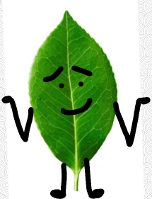 Introducing the brand new Leafy Plush! | Fandom