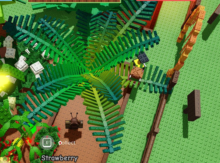 Firefly Fern placed Down | Fandom