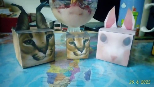 Just made Floppa and Bingus Cubes | Fandom