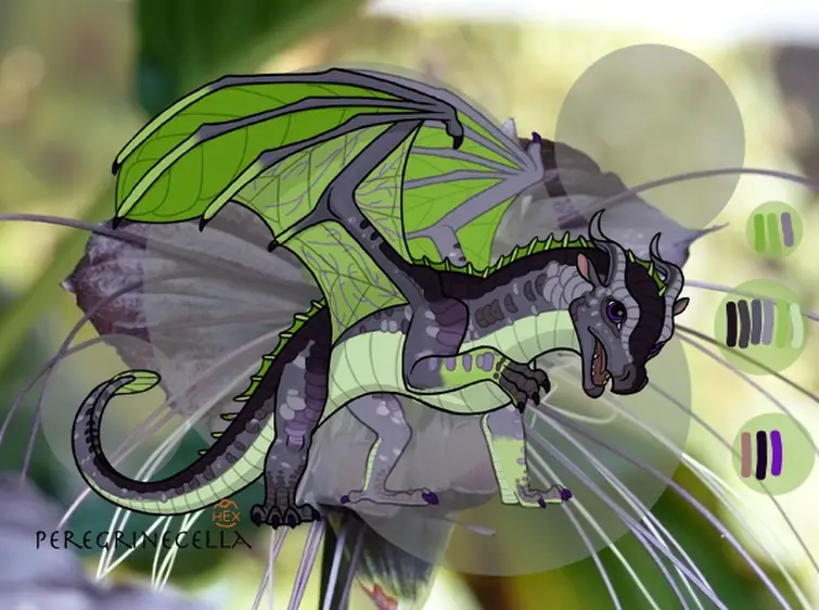 Discuss Everything About Wings of Fire Wiki | Fandom