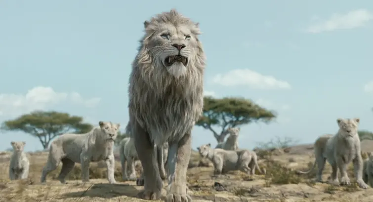 Discuss Everything About The Lion King Wiki | Fandom