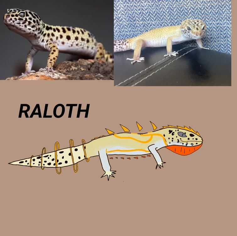 Irl pet Creature Concept done! | Fandom