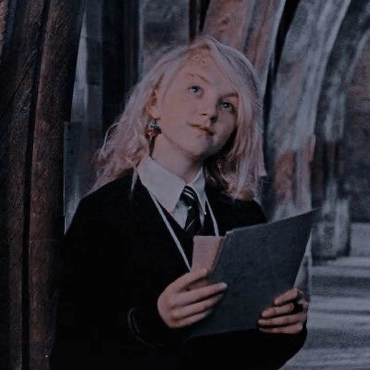 Aesthetic hp pfps for my fellow potterheads :) | Fandom
