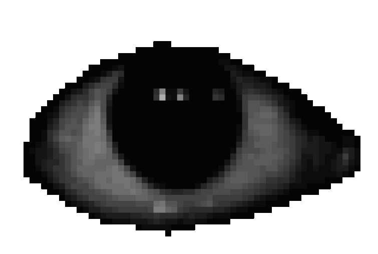 Discuss Everything About The jimbonian spoon fighting Wiki | Fandom