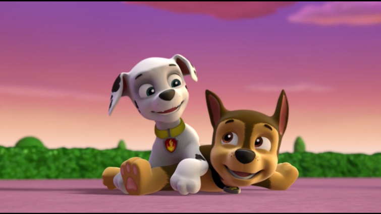 The best moments of Marshall and Chase in season 1. | Fandom