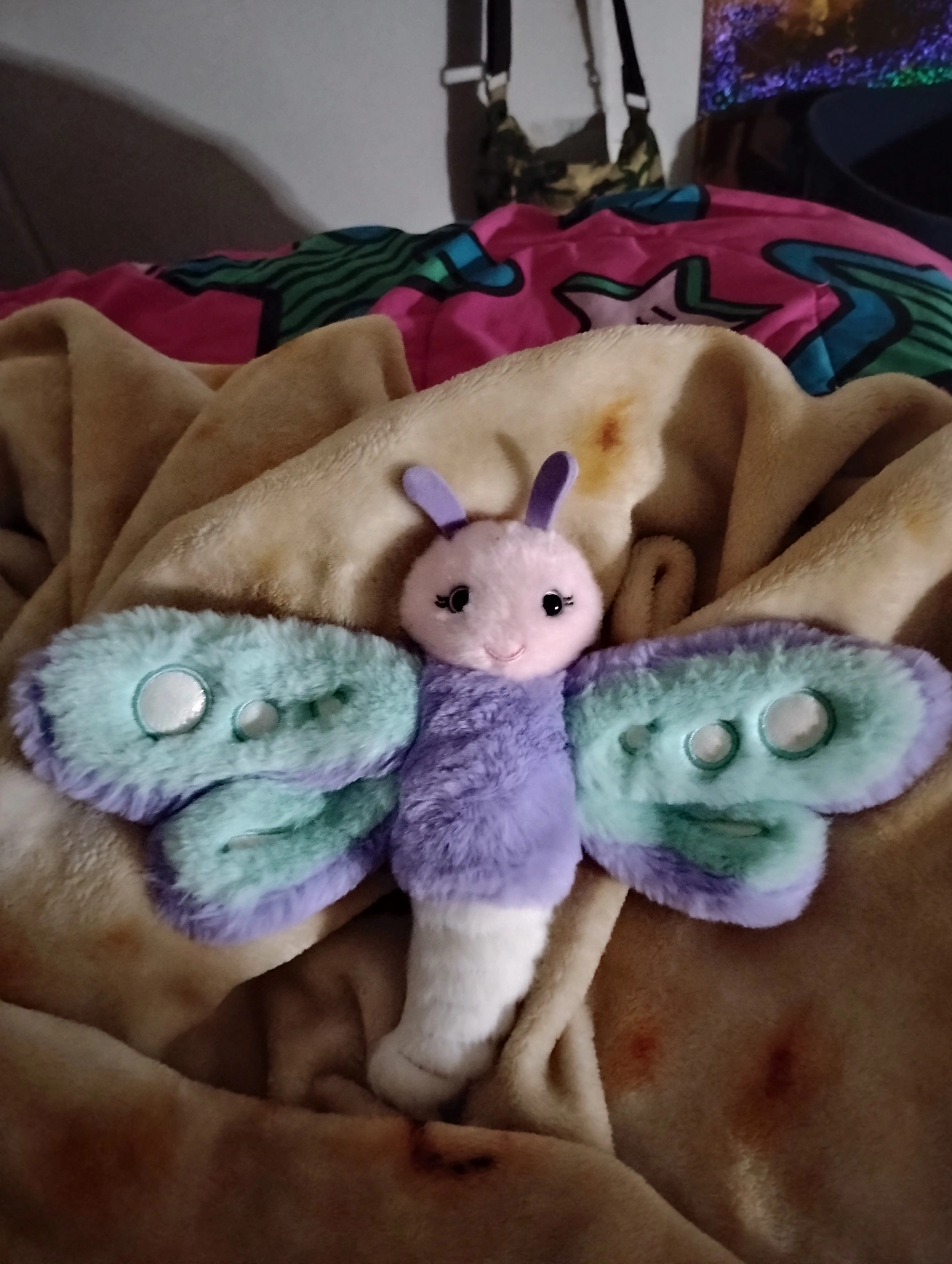 Throw back to the time I got a plushie that looks like flutter | Fandom