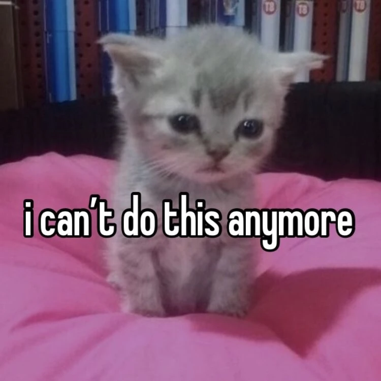 i just realized | Fandom