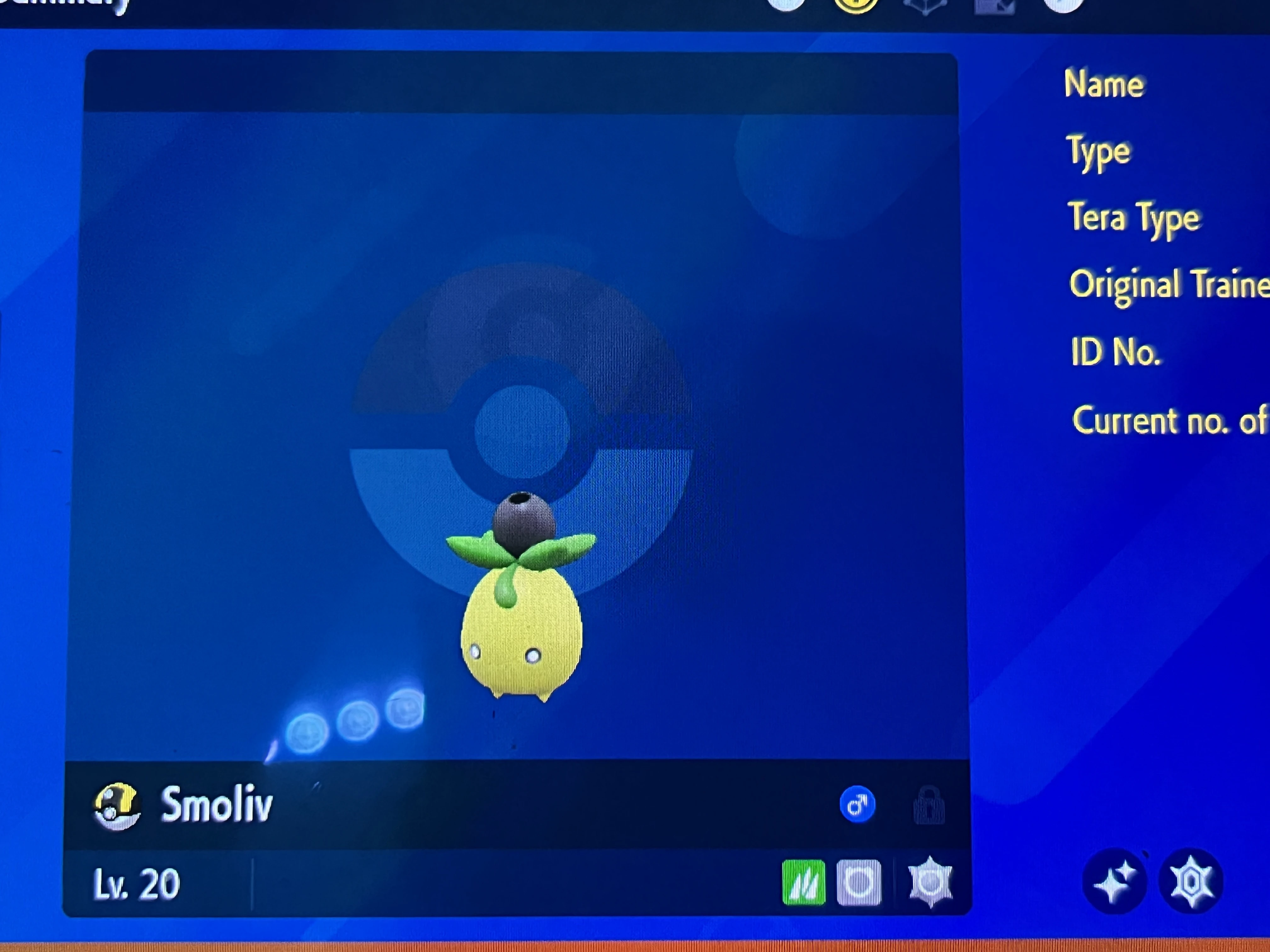 Shiny smoliv!!! | Fandom