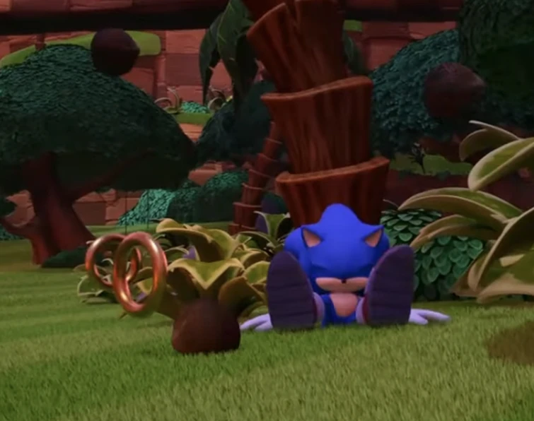 I thought about it. Does Sonic ( anyone ) REALLY be losing their rings ...