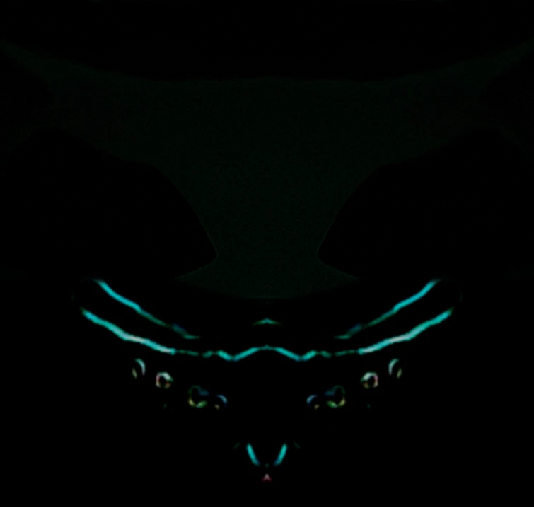 A phase I made from an Idiot phase (Try to guess which one it is) | Fandom