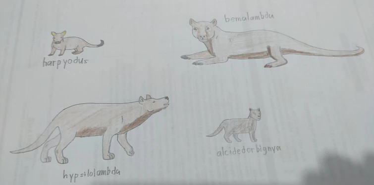 Discuss Everything About Dinopedia | Fandom