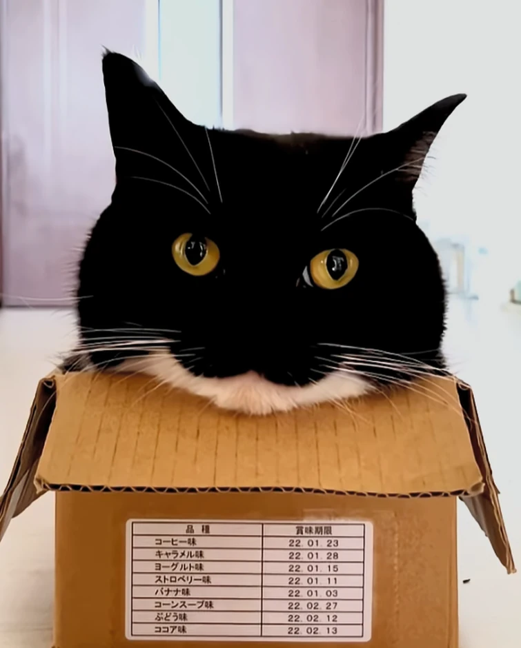 Happy New Years from the Block Tales Wiki! (UTC+8 time) | Fandom