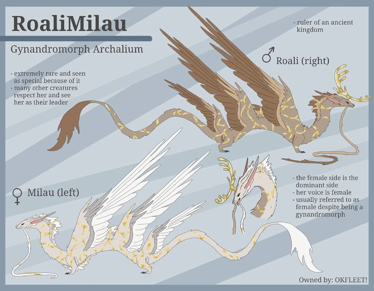 RoaliMilau, the gynandromorph archalium | Fandom