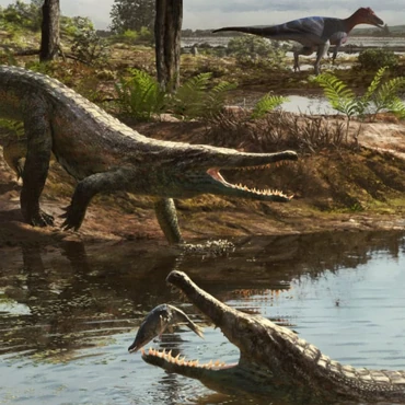 Discuss Everything About Dinopedia | Fandom