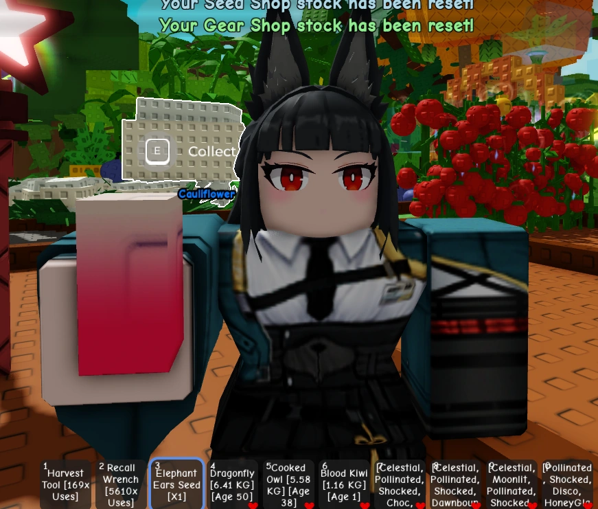 Elephant Ears | Fandom