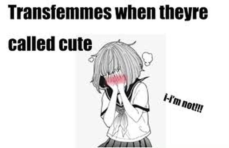 Transfem memes that I totally do not relate to | Fandom