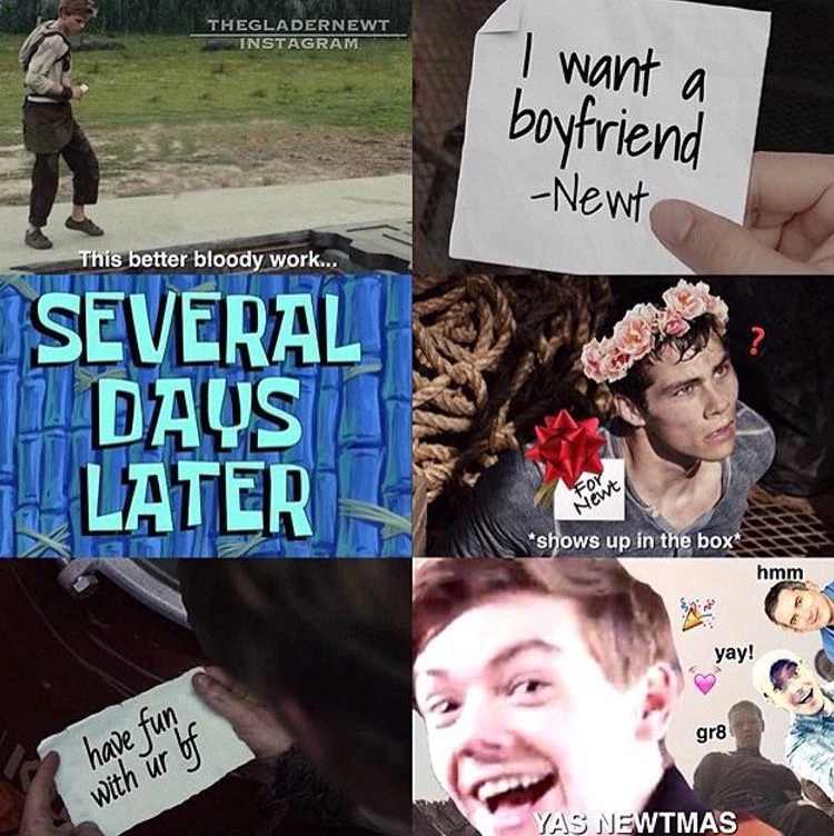 Newtmas Memes | Fandom