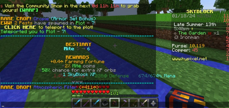 Discuss Everything About Hypixel SkyBlock Wiki | Fandom