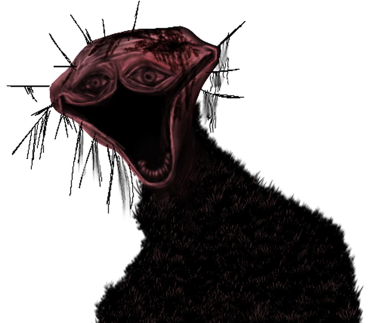 You make an anatomy of OC entities looks like? | Fandom