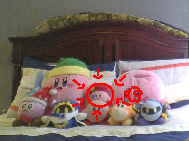 The newest member of my plush collection !!! | Fandom