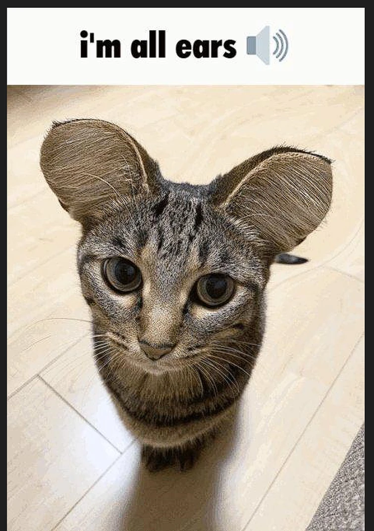 Tell me something weird | Fandom