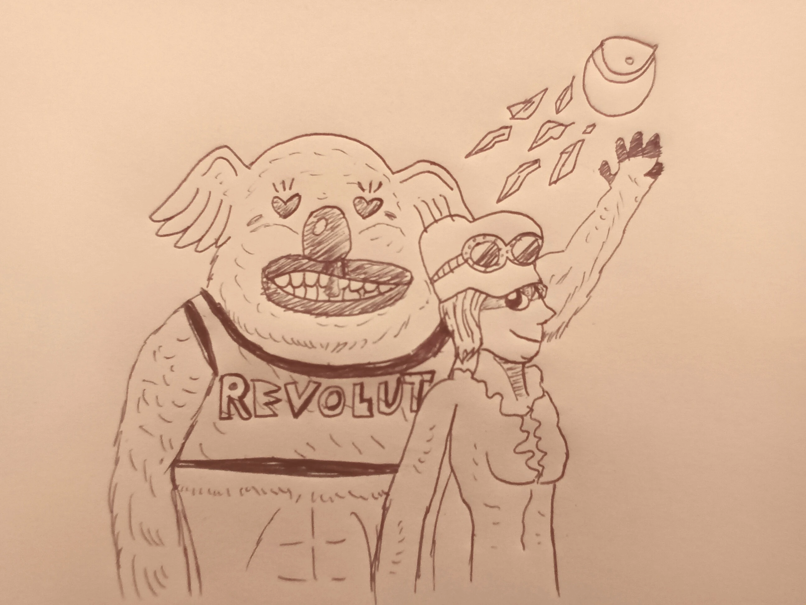 Team Koala 🤣 | Fandom