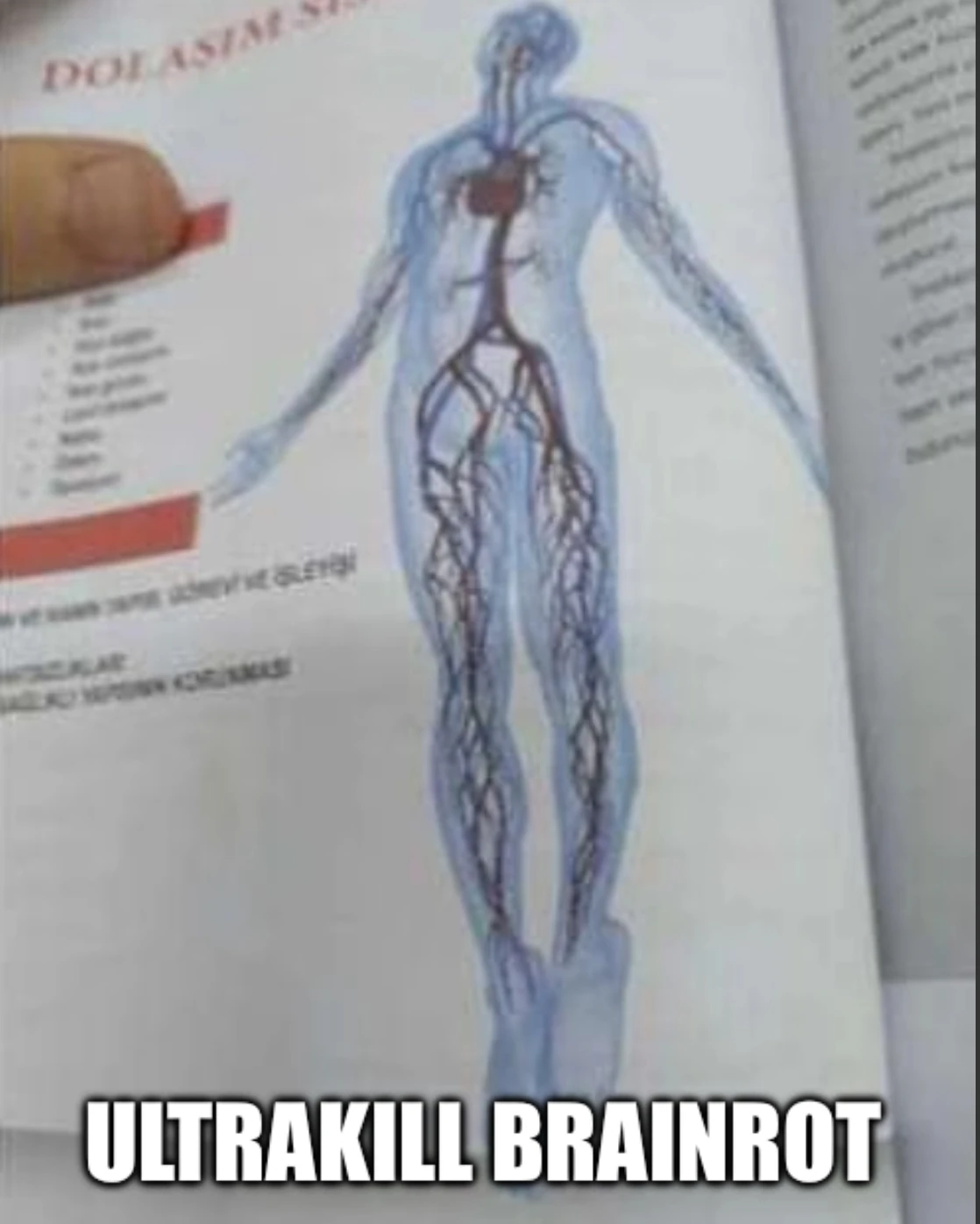 Do you guys like the new flesh panopticon caption I made | Fandom