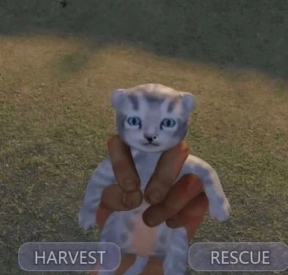 LF a fm dbl saur! | Fandom