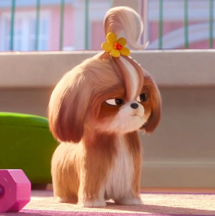 Daisy is insanely... absurdly... BEAUTIFUL! 😍 | Fandom