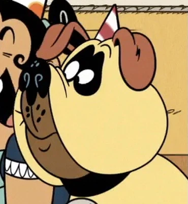 Favorite Pet? | Fandom