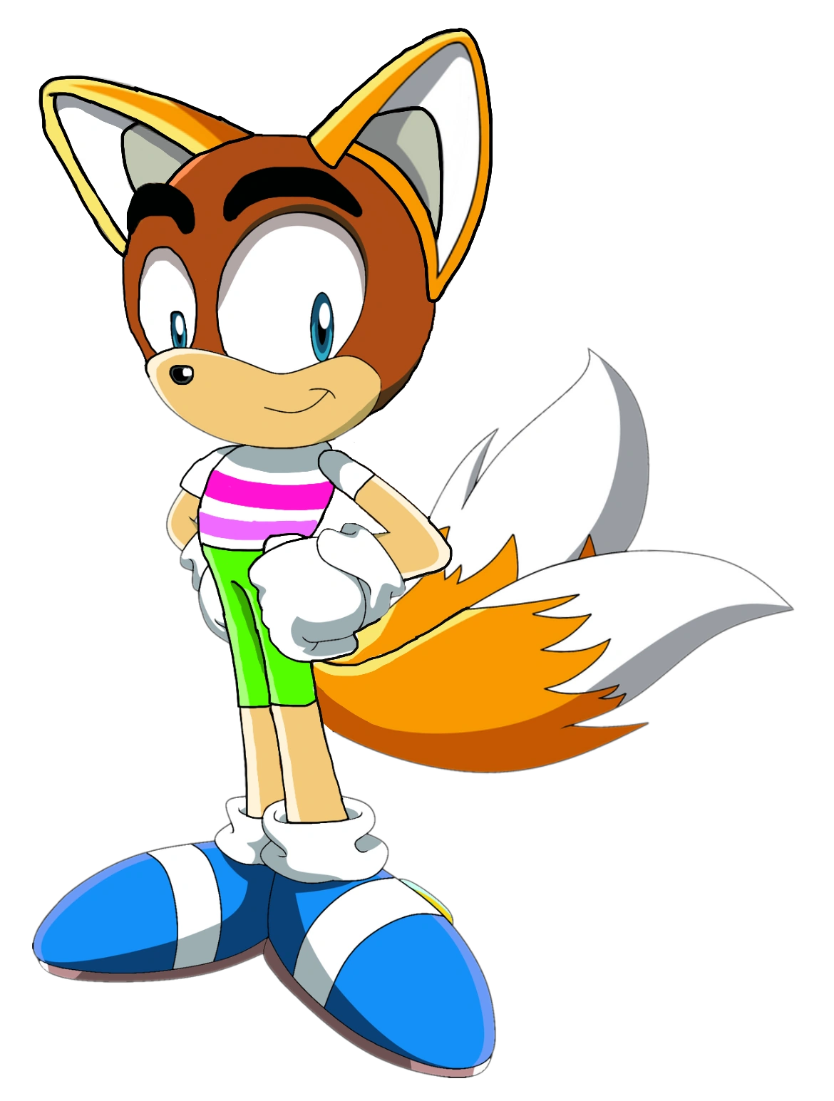Mi Personaje De Sonic (Nota: El personaje ya había sido creado en el ...