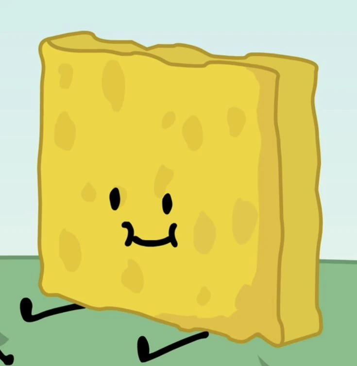 Spongy cool | Fandom