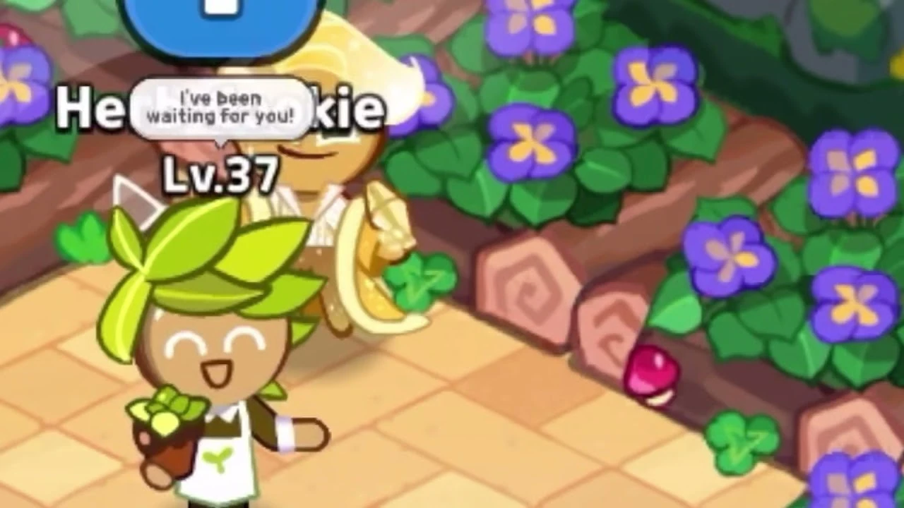 Your friend, Vamp | Fandom