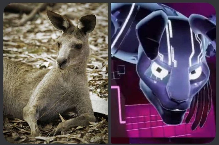 The Entity is a Kangaroo | Fandom