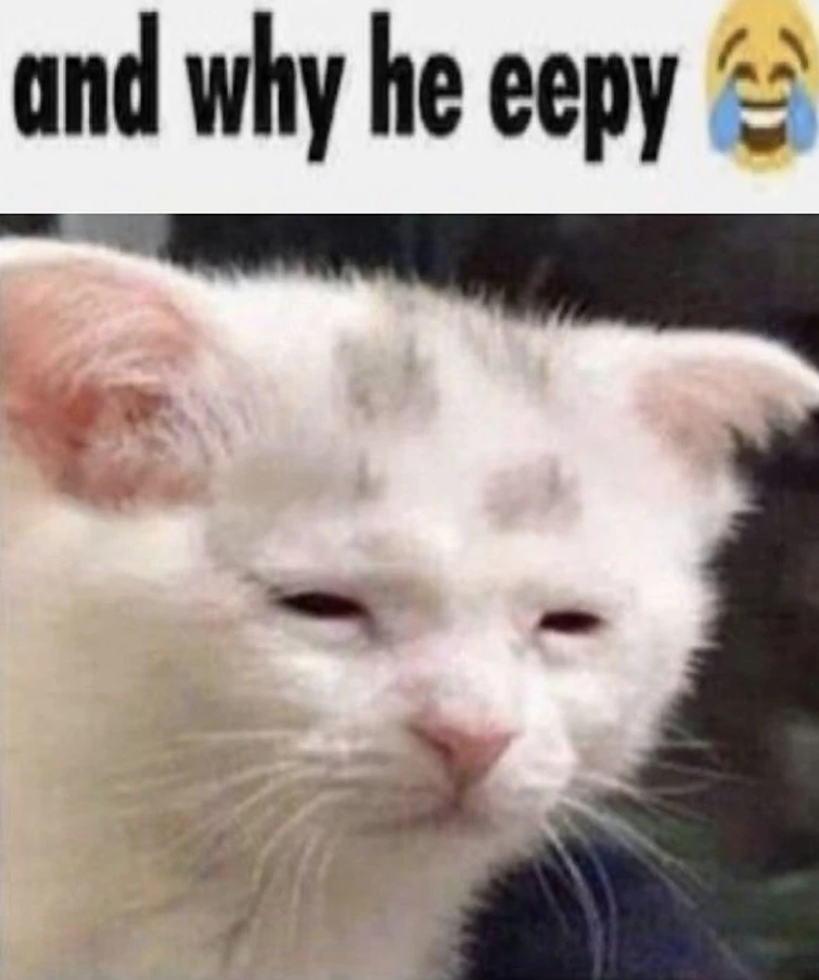 Goodnight silly dudes | Fandom