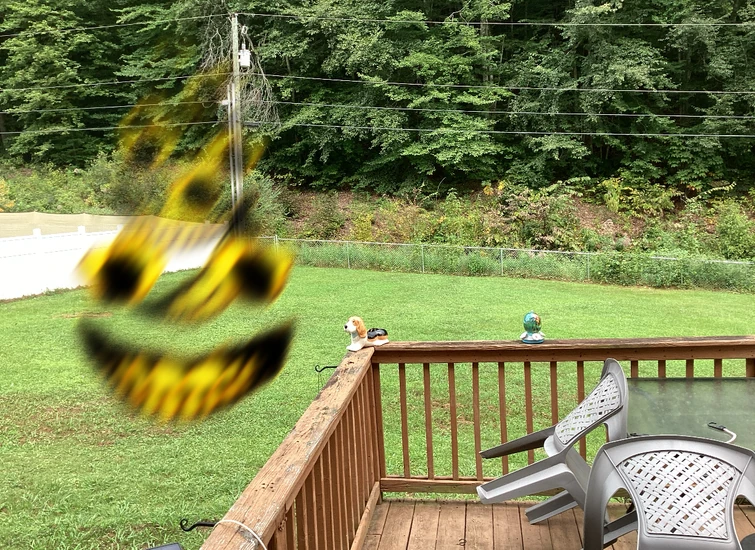 GET THE FUCK OFF OF MY PORCH G-250!!! | Fandom