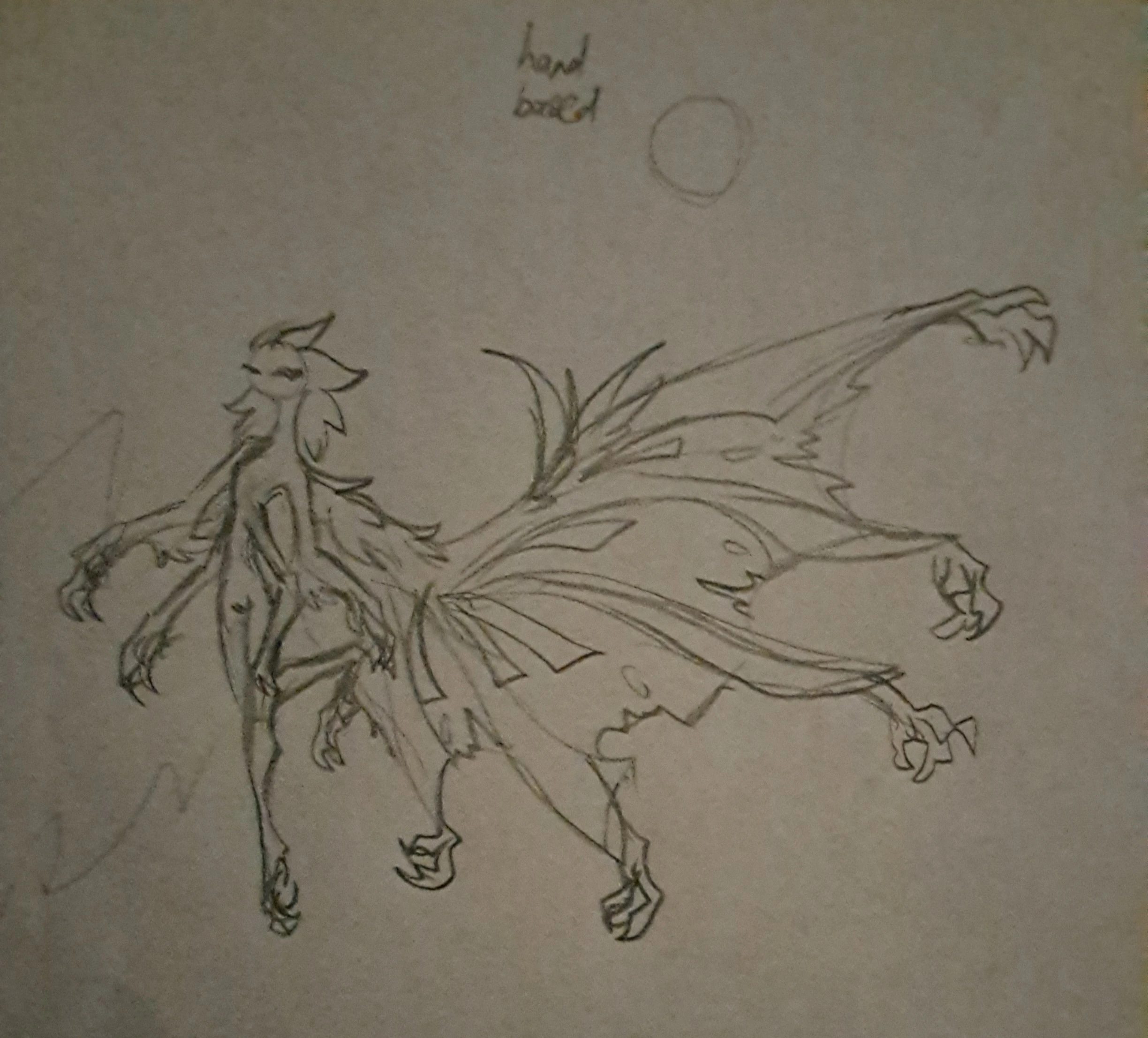 Golden chez.... | Fandom