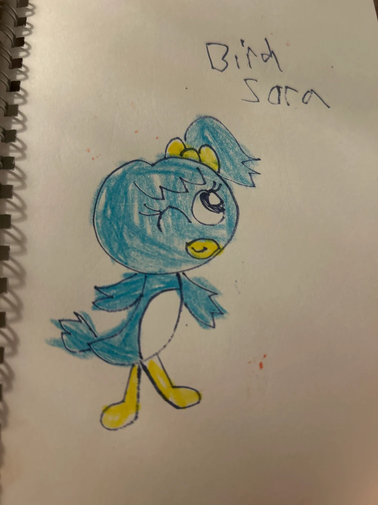 Bird Sora | Fandom