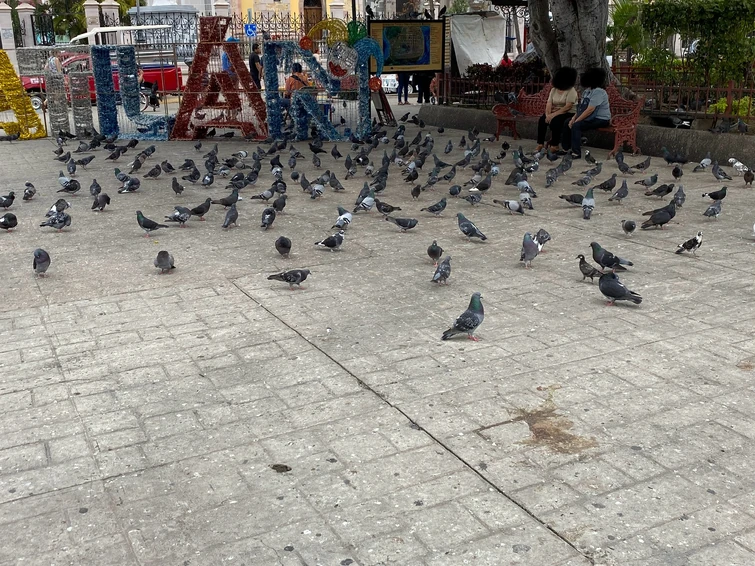 Discuss Everything About HELLMET Wiki | Fandom