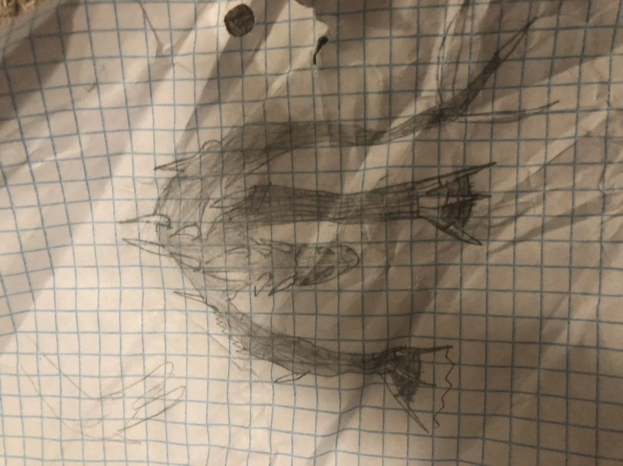 Some art | Fandom