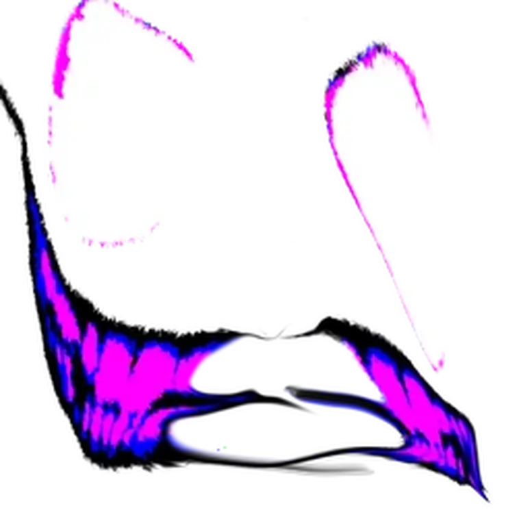 If the oldest B-140 had a frame between the split frame | Fandom