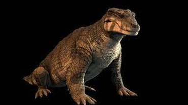 Which depiction of Simosuchus do y’all like the most? | Fandom