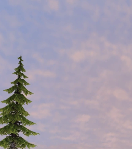 DIFFERENT SKY | Fandom