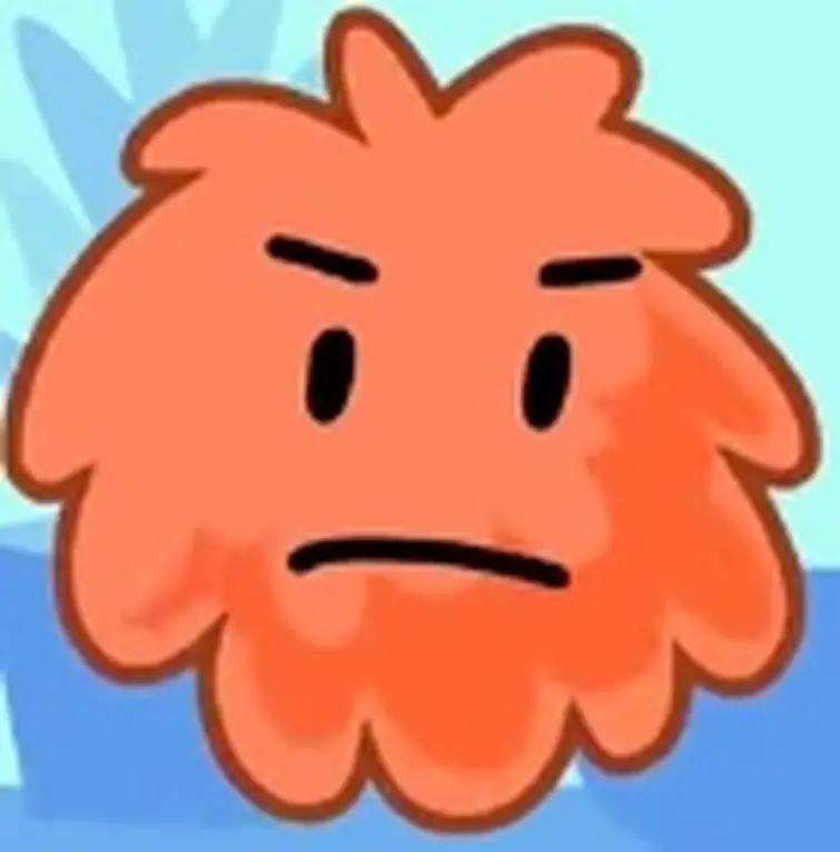 Top 5 Puffball | Fandom