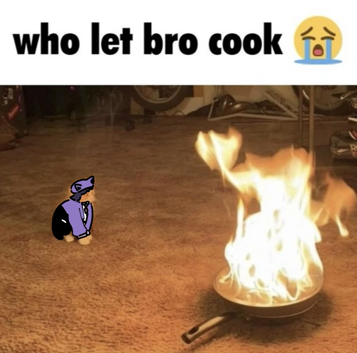 WHO LET MINI COOK 😭 | Fandom